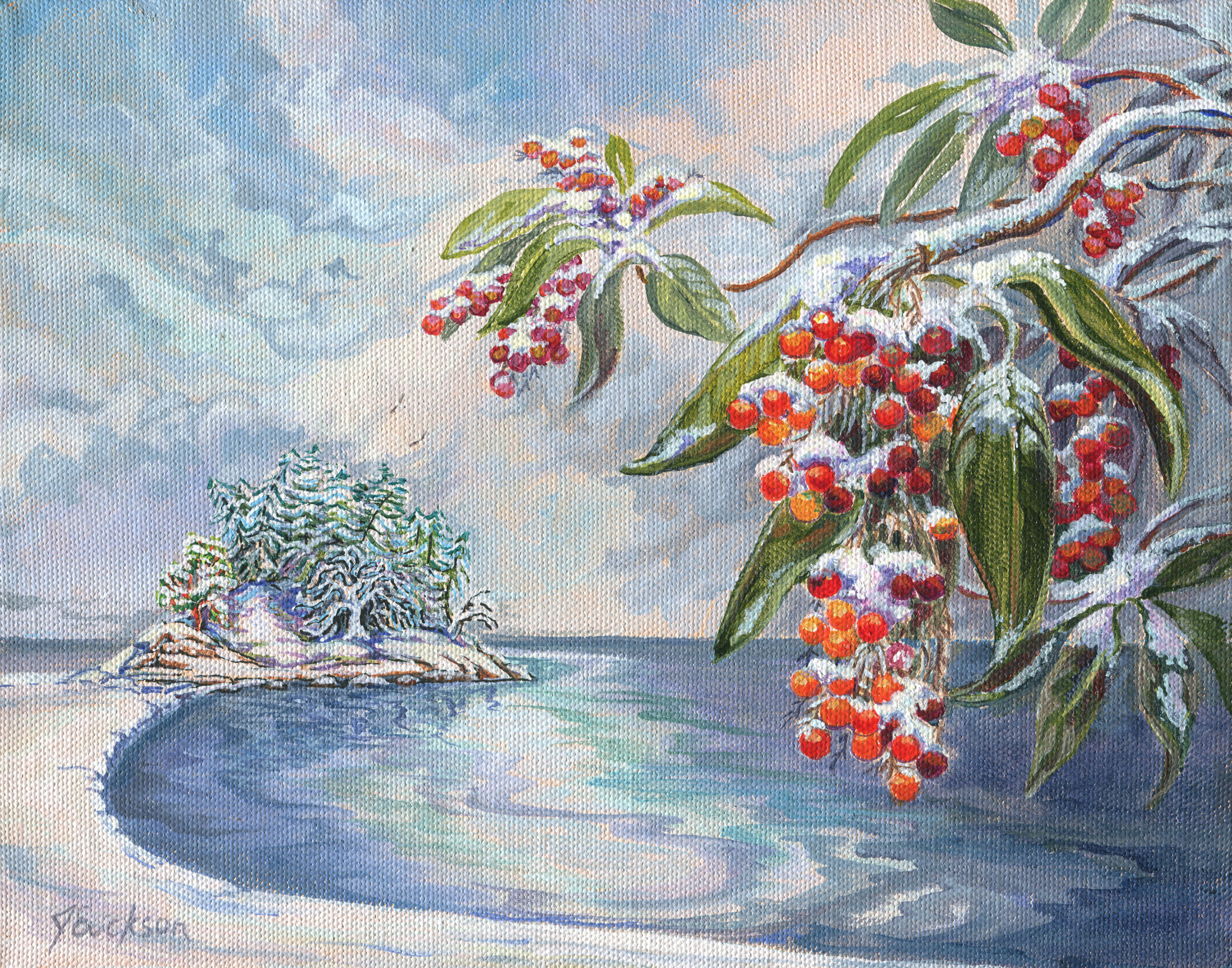 Winter Treasures, Arbutus Berries at Dionisio, Winter Colours ...